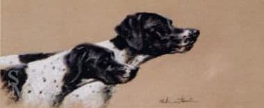 English Pointer Limited Edition Print Points of View by Mick Cawston