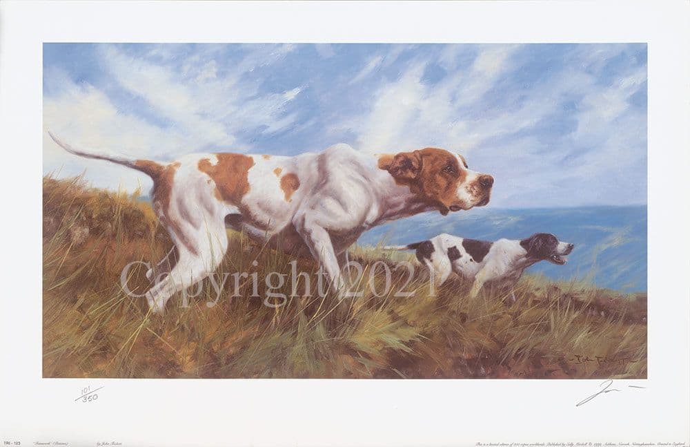 English Pointer Limited Edition Print Teamwork by John Trickett