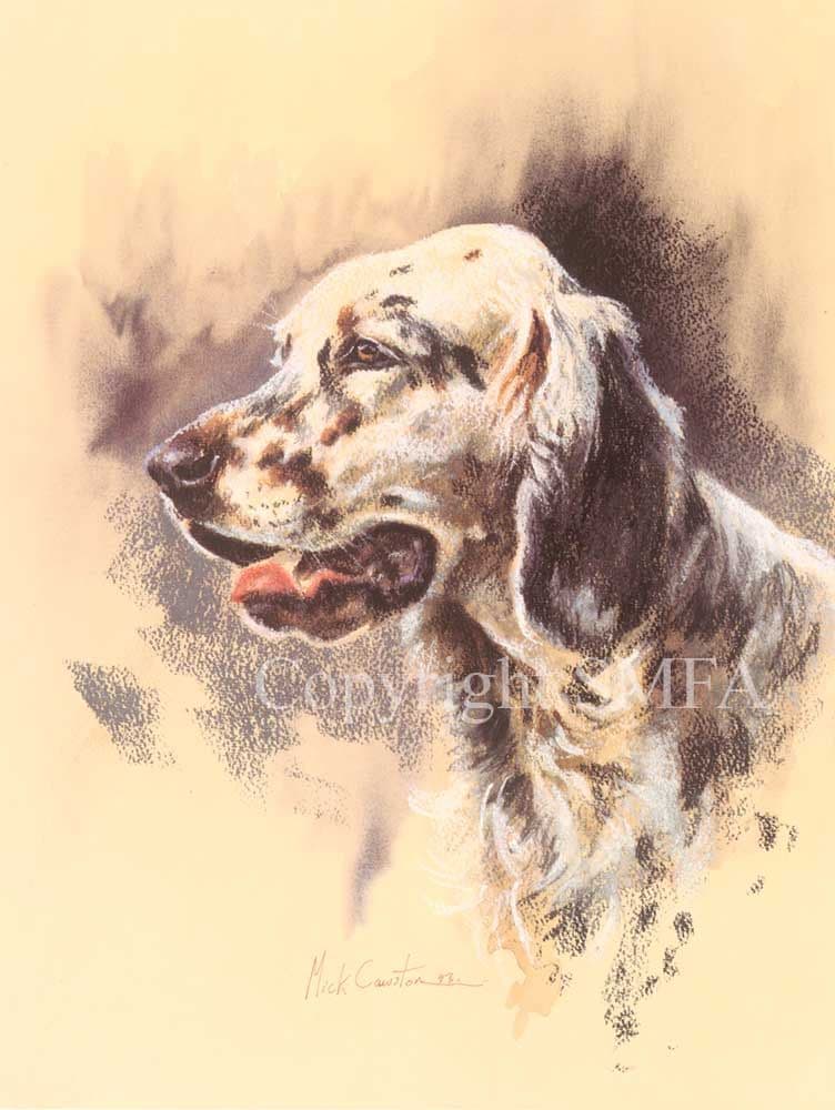English Setter Limited Edition Print English Setter Head Study by Mick ...