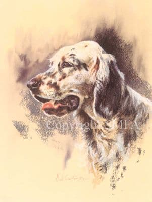 English Setter Prints