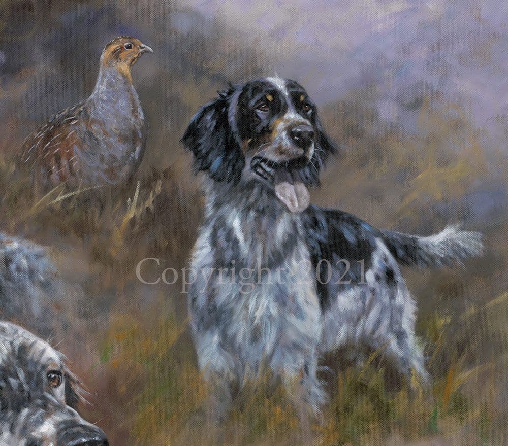 English Setter Limited Edition Print English Setters by John Trickett