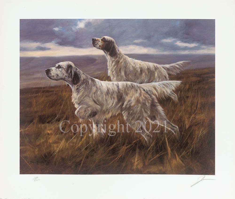 English Setter Limited Edition Print English Setters by John Trickett