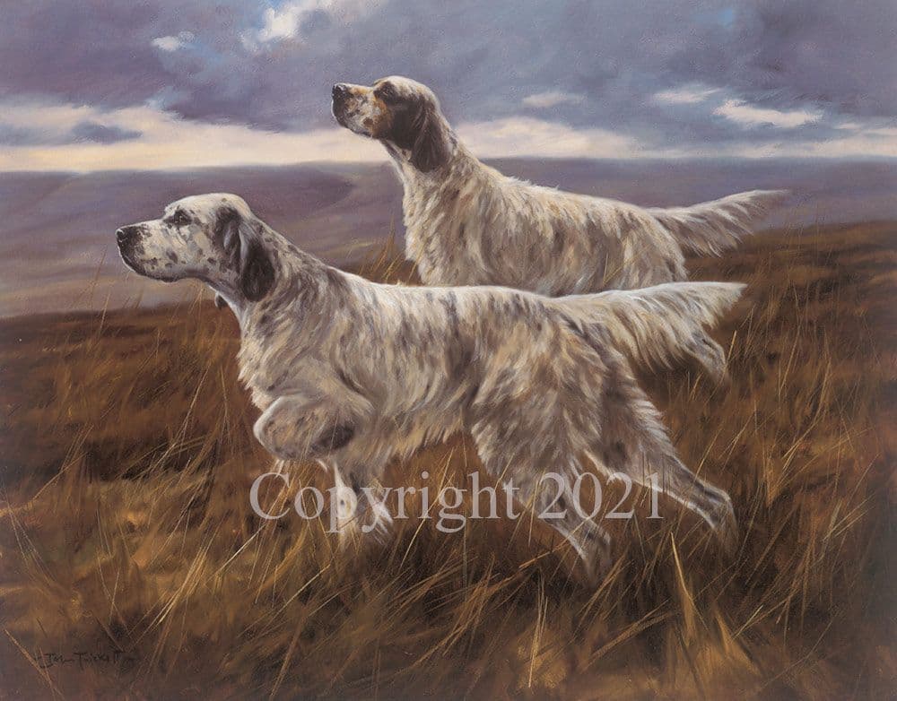 English Setter Limited Edition Print English Setters by John Trickett