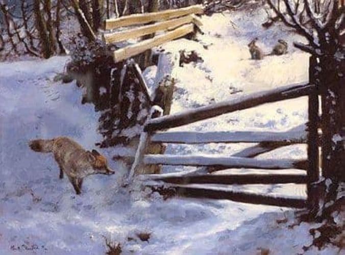 Fox Blank Greetings Card Trouble Just Around the Corner by Mick Cawston ...