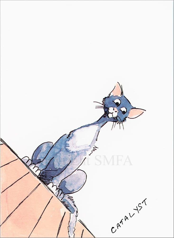 Funny Cat Greetings Card Catalyst by Malcolm Coward
