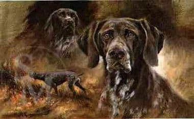 Prints by Mick Cawston - Page 3