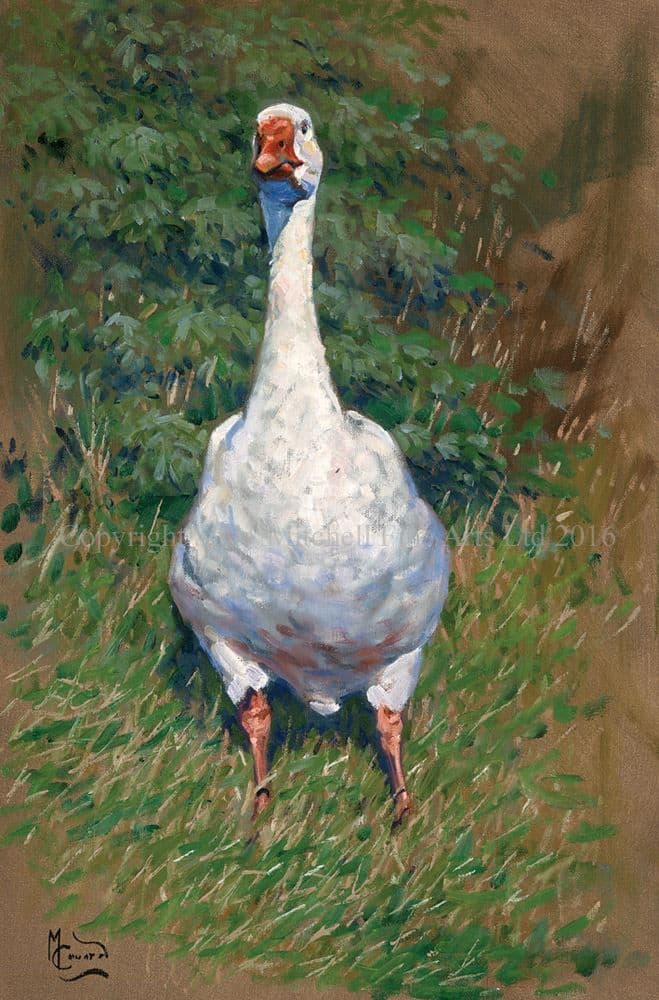 Goose Limited Edition Print The Indignant by Malcolm Coward