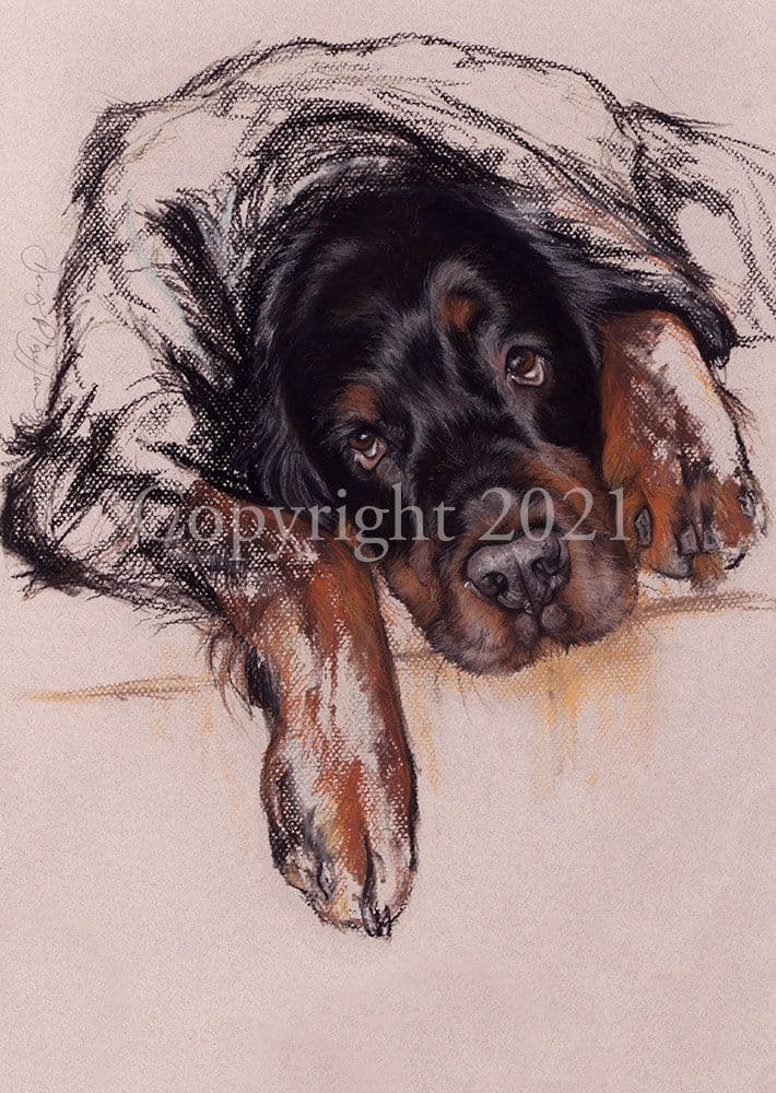 Gordon Setter Limited Edition Print Gordon Setter by Denise Playfair