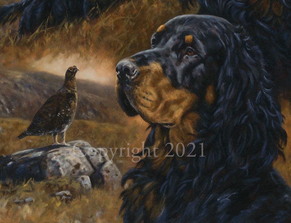 Gordon Setter Limited Edition Print Gordon Setter Composite by John ...