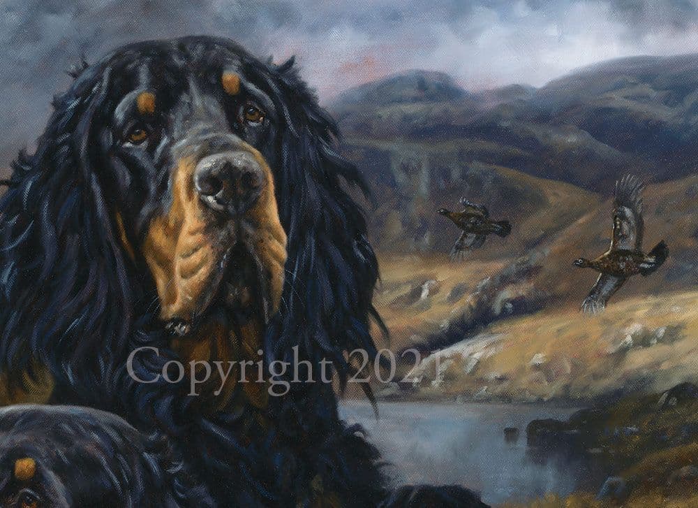 Gordon Setter Limited Edition Print Gordon Setter Composite by John ...