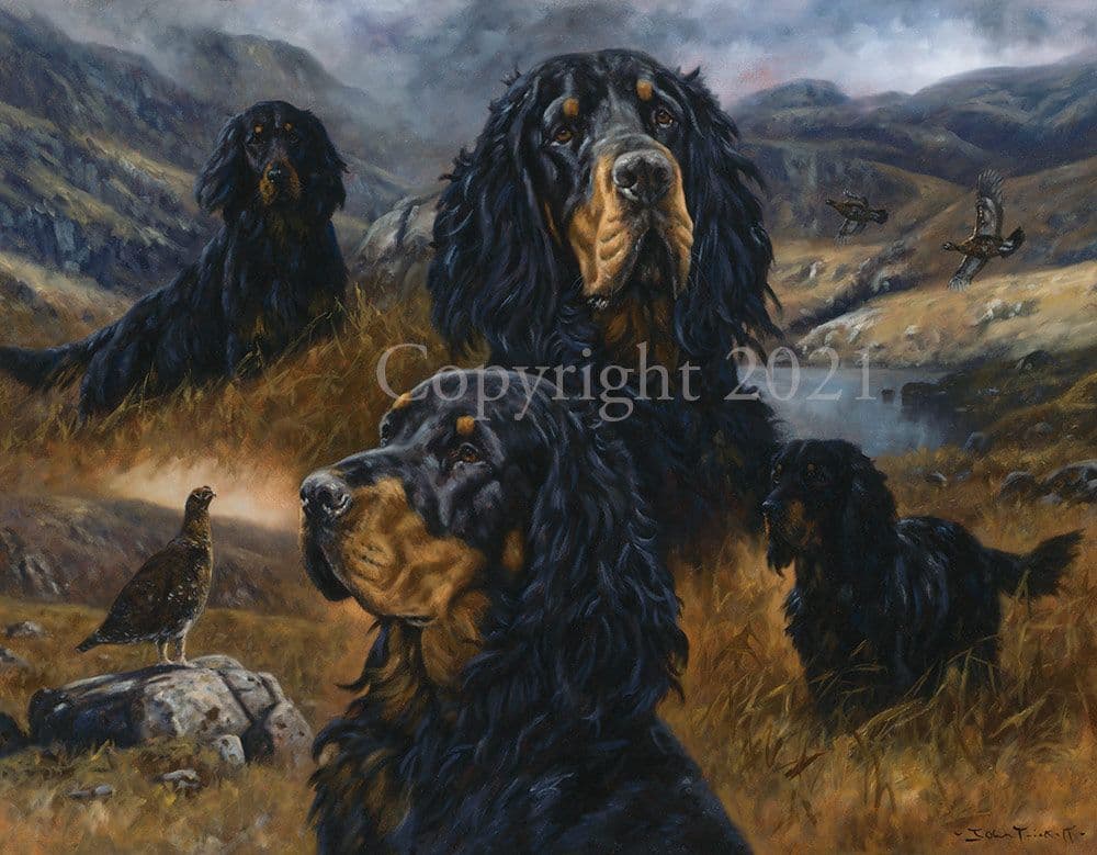 Gordon Setter Limited Edition Print Gordon Setter Composite by John ...