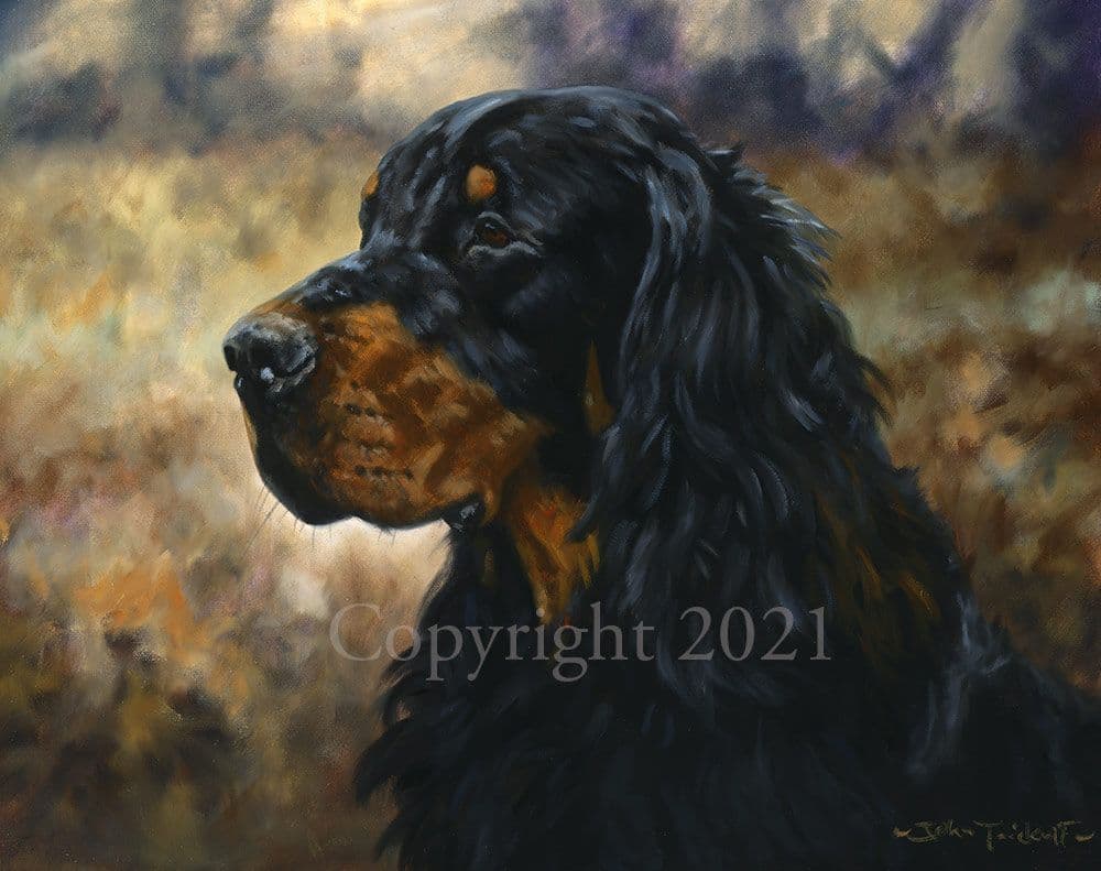 Gordon Setter Limited Edition Print Portrait of a Gordon Setter by John ...