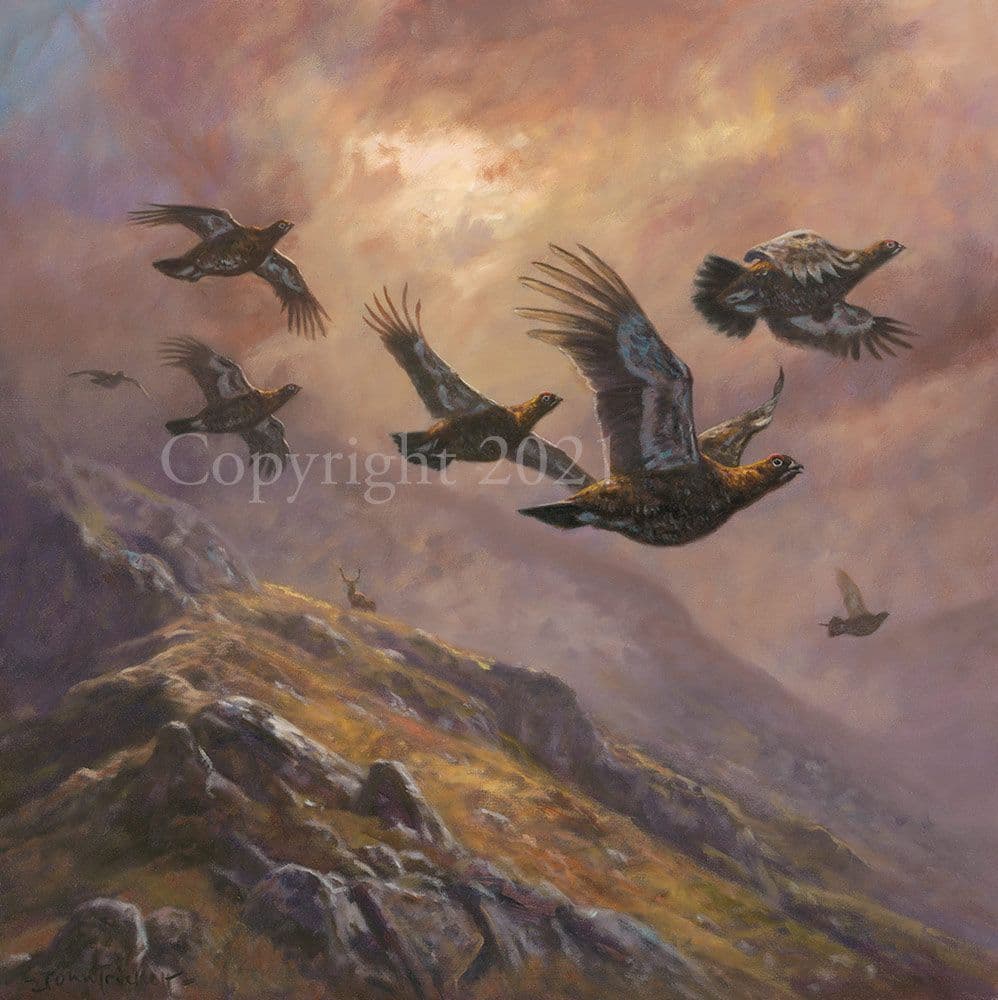 Grouse Limited Edition Print Evening Grouse by John Trickett