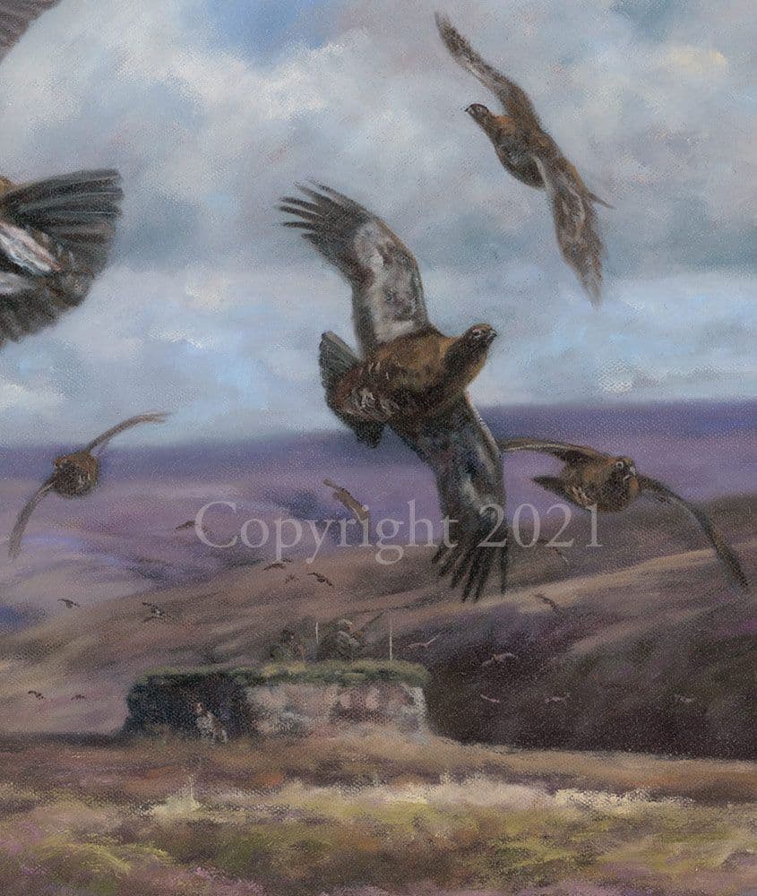 Grouse Limited Edition Print Grouse Days by John Trickett