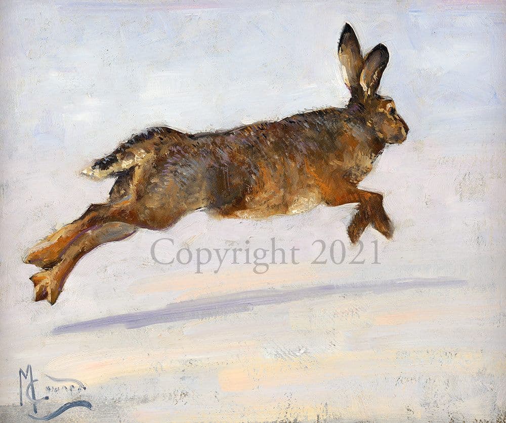 Hare Limited Edition Print Bounding Along by Malcolm Coward