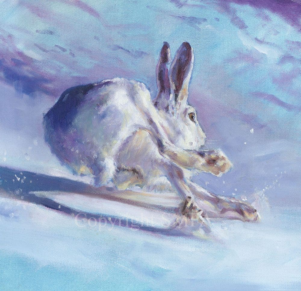 Hare Limited Edition Print Dashing by Jonathan Walker