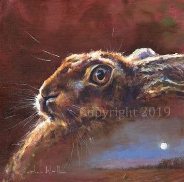 Hare Limited Edition Print Dreamer by Jonathan Walker