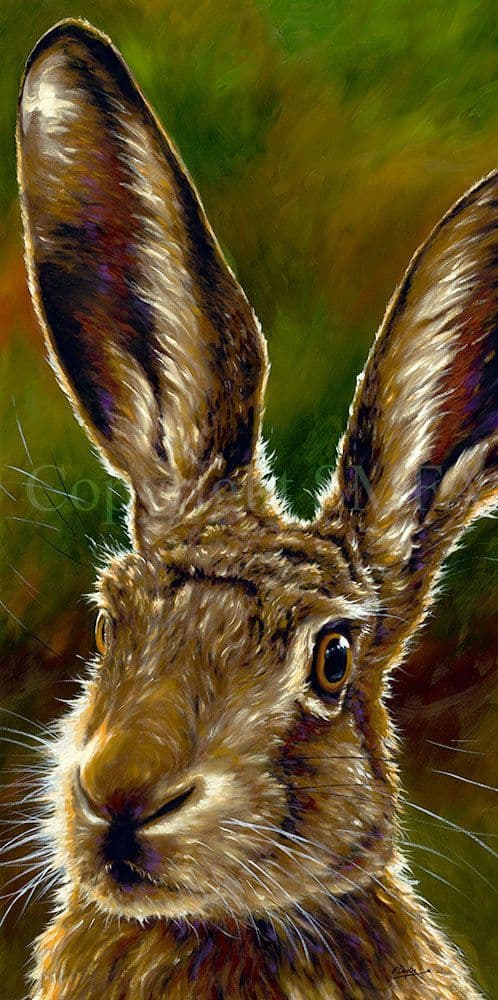 Hare Limited Edition Print Hare Study by Paul Doyle