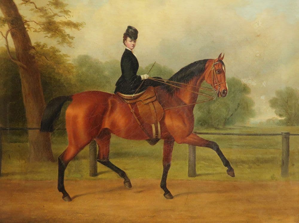 Horse Limited Edition Canvas Print Skittles after the Original by John ...