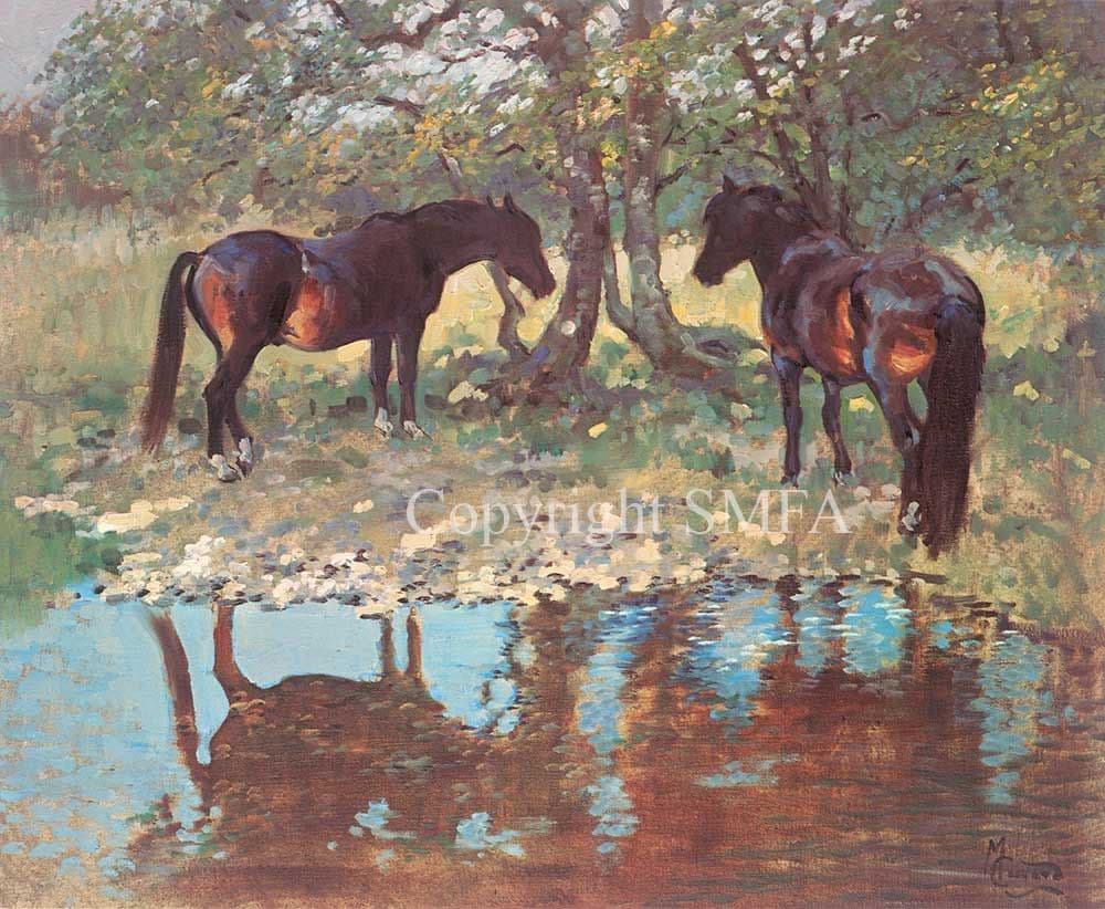 Horse Limited Edition Print Summer Siesta by Malcolm Coward