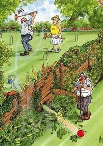 Humorous Blank Greetings Card Croquet by Christopher Hope THB007
