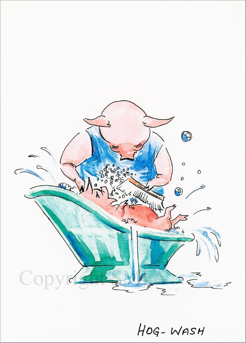Humorous Pig Card Hog Wash by Malcolm Coward