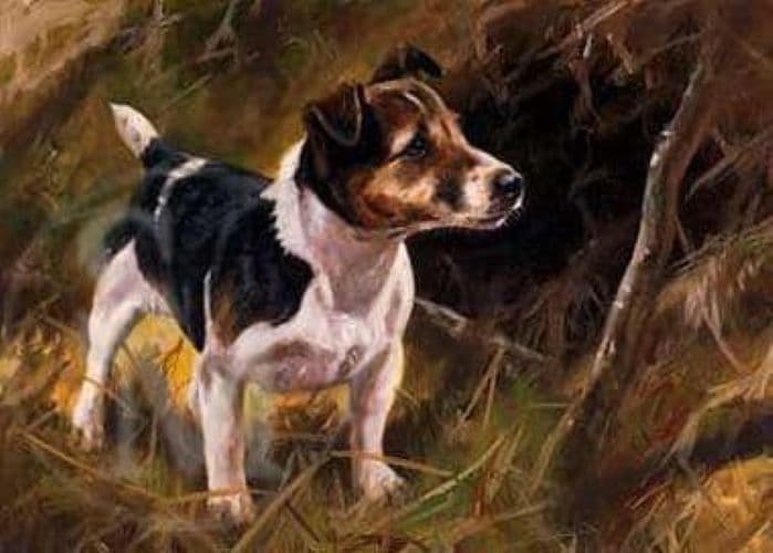 Jack Russell Blank Greetings Card Jack by John Trickett C265