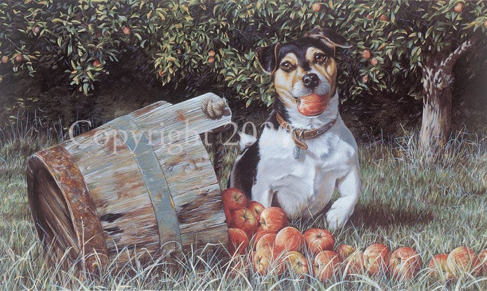 Jack Russell Limited Edition Print Scrumpy Jack by Paul Doyle