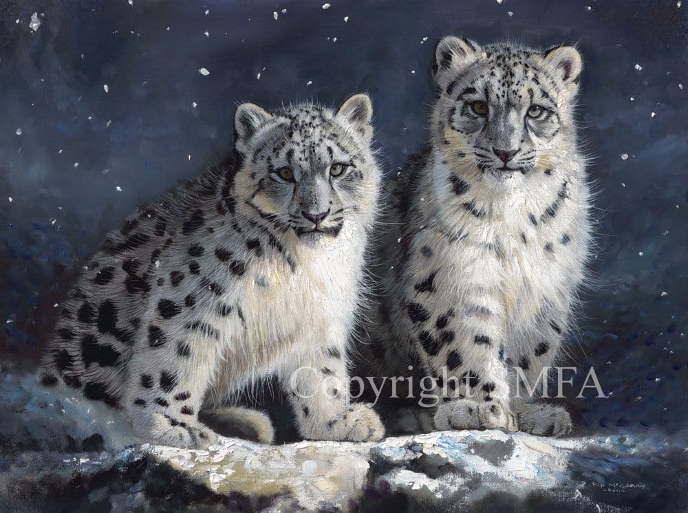 Leopard Limited Edition Print Young Snow Leopards by Pip McGarry