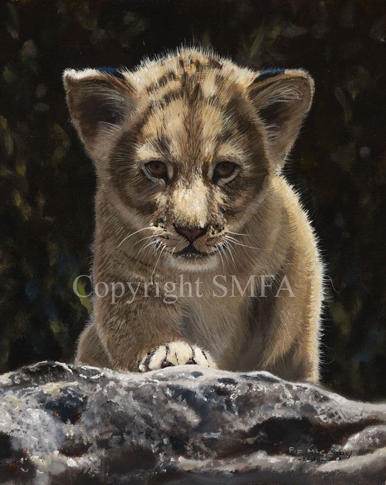 Lion Cub Limited Edition Print Lion Cub by Pip McGarry