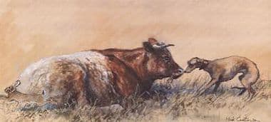 Lurcher Bull Limited Edition Print Oops by Mick Cawston