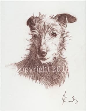 Lurcher Original Conte Sketch Lurcher by Malcolm Coward