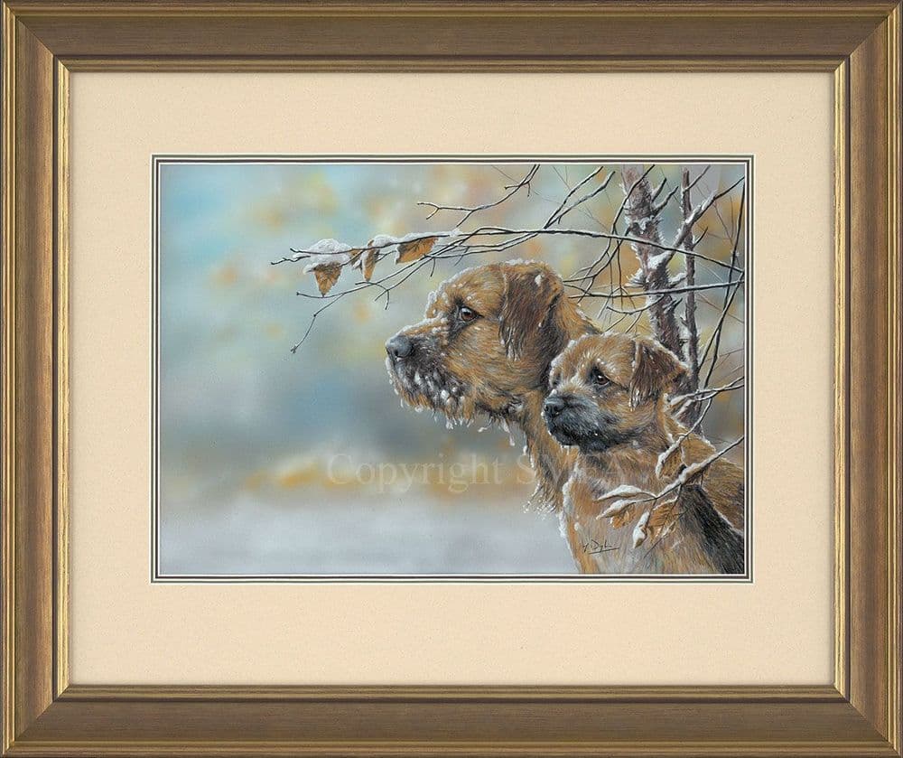 No 1 A Light Frosting Original Border Terrier Painting by Paul Doyle