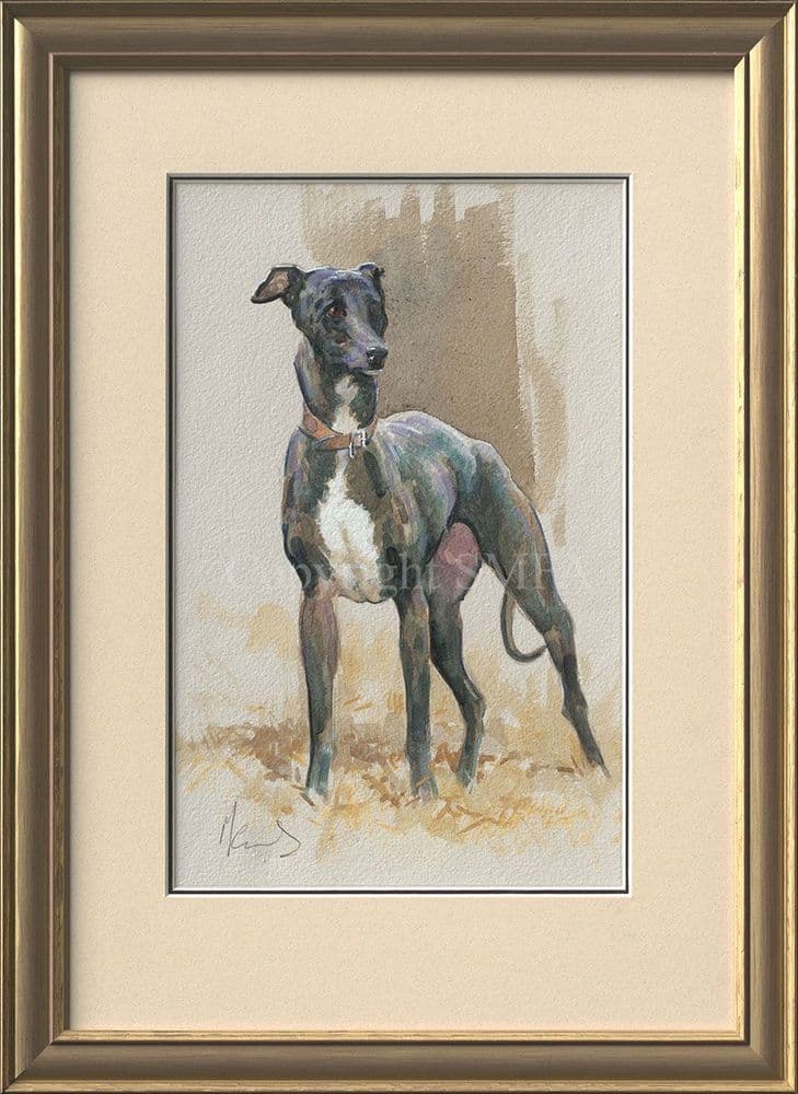 No 21 Greyhound Original Watercolour Painting by Malcolm Coward