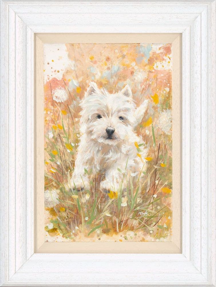 No 31 Joy Original Westie painting by Paul Doyle