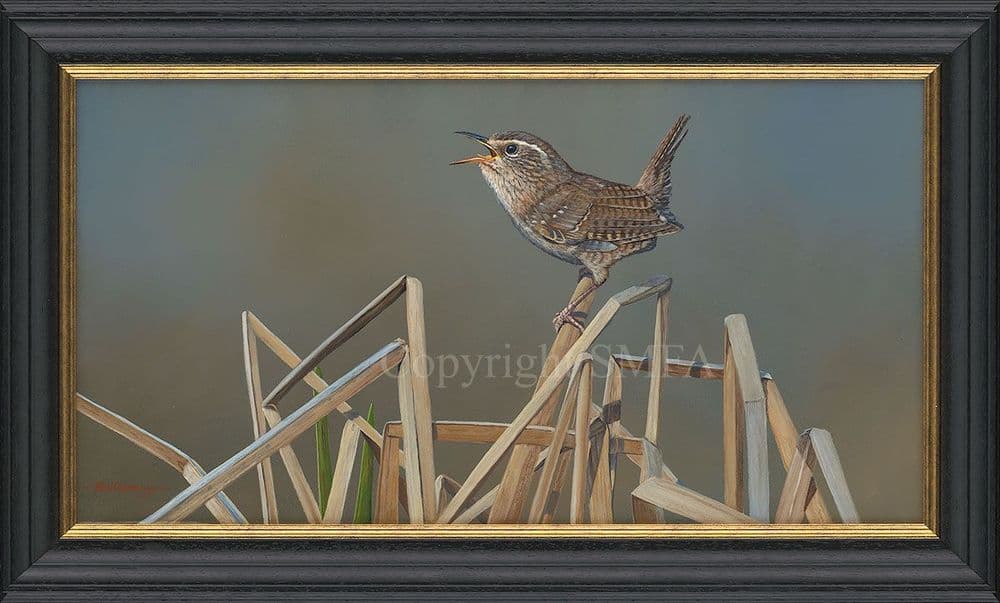 No 44 Reed Instrument Original Painting of a Wren by Ben Waddams