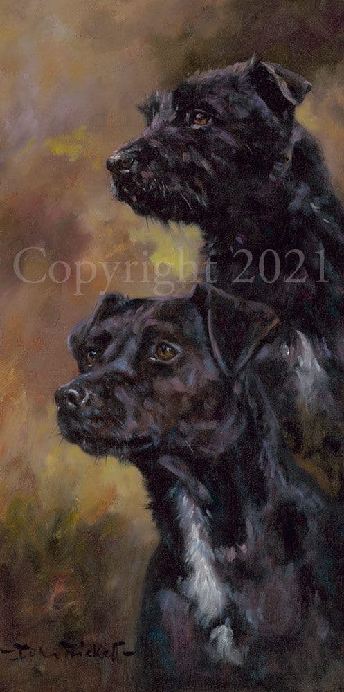 Patterdale Limited Edition Print Patterdales by John Trickett