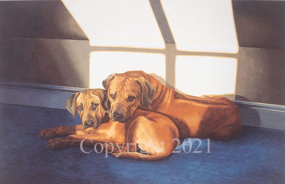 Rhodesian Ridgeback Limited Edition Print Mother s Love by Pippa Thew
