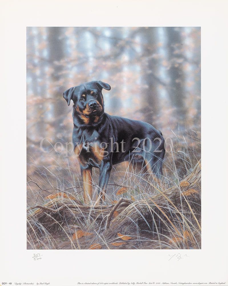 Rottweiler Limited Edition Print Loyalty by Paul Doyle