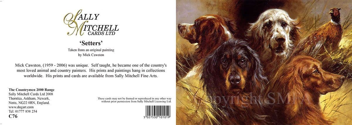 Setters Irish Gordon and English Setter Blank Greetings Card by Mick ...