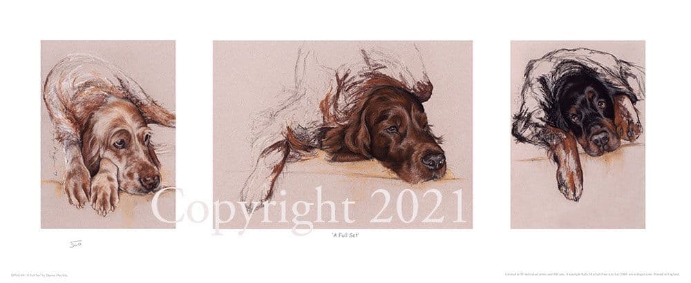 Setters Limited Edition Print A Full Set by Denise Playfair