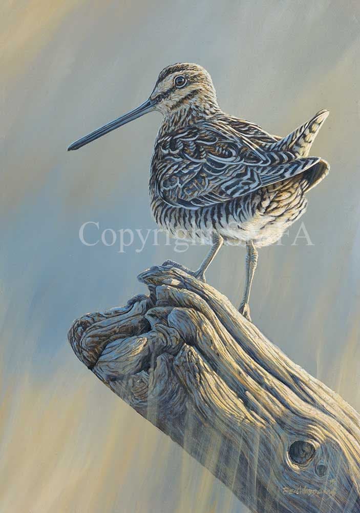 Snipe Limited Edition Print "The Display Post" by Ben Waddams