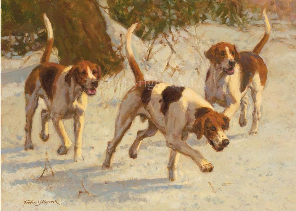 Snow Scent Foxhound Christmas card by Frederick J Haycock C709x