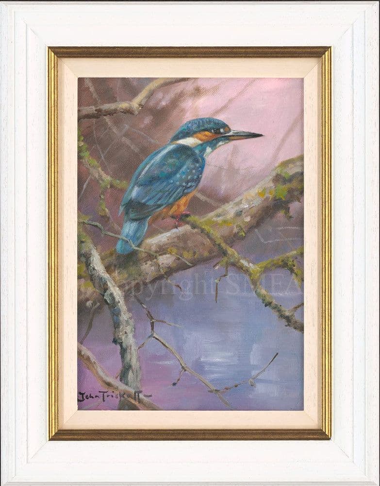 SOLD At The Ready Kingfisher Original Oil Painting by John Trickett