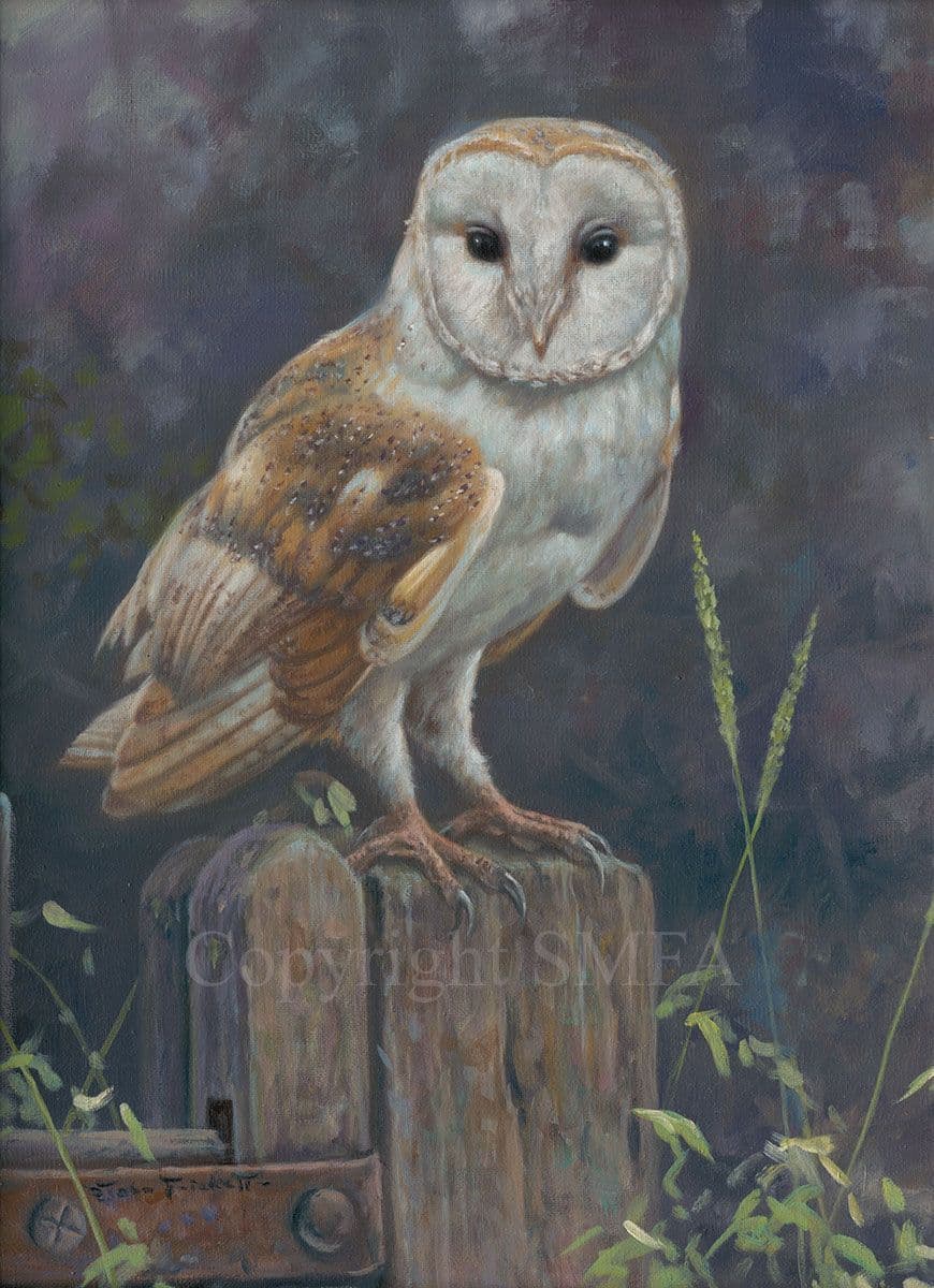 SOLD On Watch Original Barn Owl Painting by John Trickett