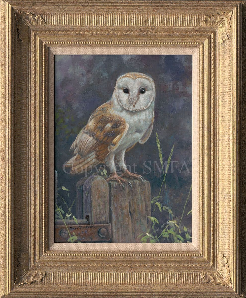 SOLD On Watch Original Barn Owl Painting by John Trickett