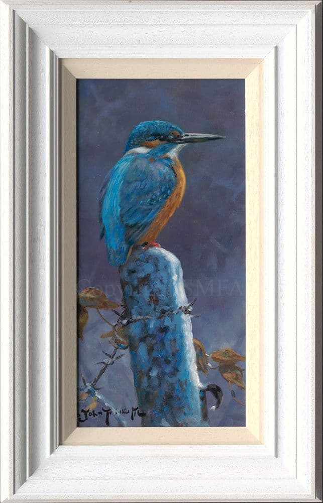 SOLD Sitting Pretty Original Kingfisher Painting by John Trickett