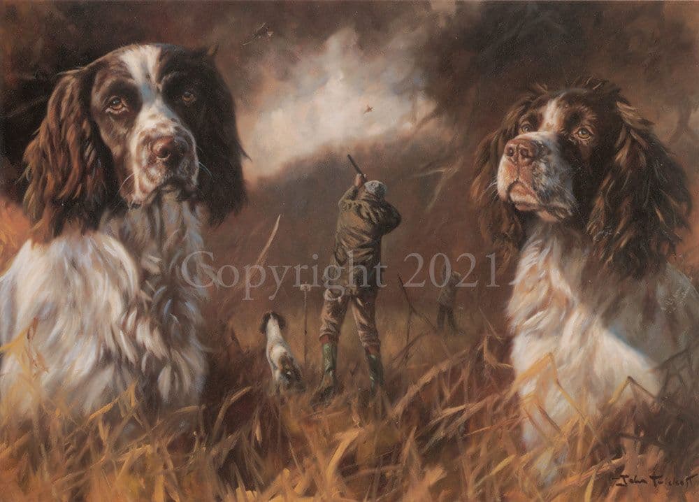Springer Spaniel Blank Greetings Card Springer Heaven by John Trickett C291