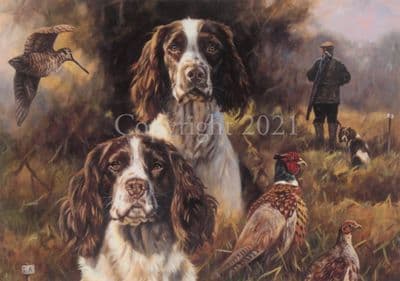 Springer Spaniel cards