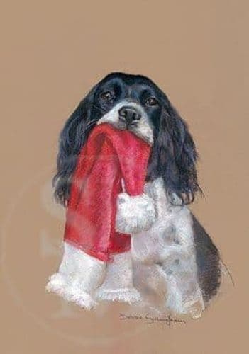 Springer Spaniel Christmas Cards Where s Santa by Debbie Gillingham C462X